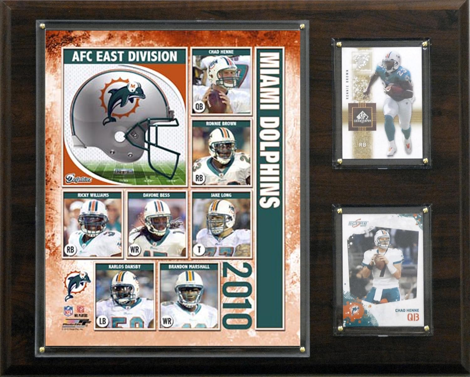 Amazon.com : 2010 Team Plaque - Framed NFL Photos, Plaques and Collages ...