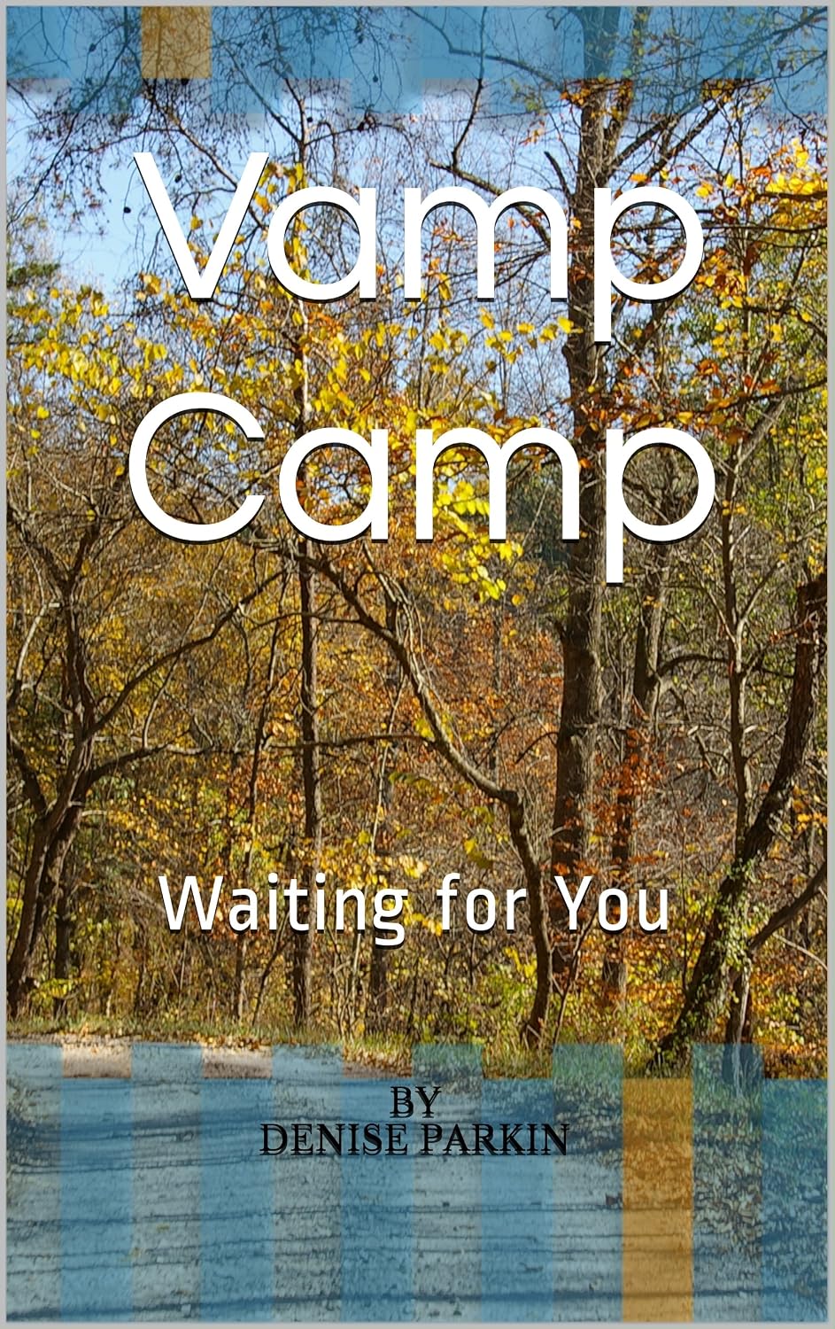 Amazon.com: Vamp Camp: Waiting for You eBook : Parkin, by Denise Parkin ...
