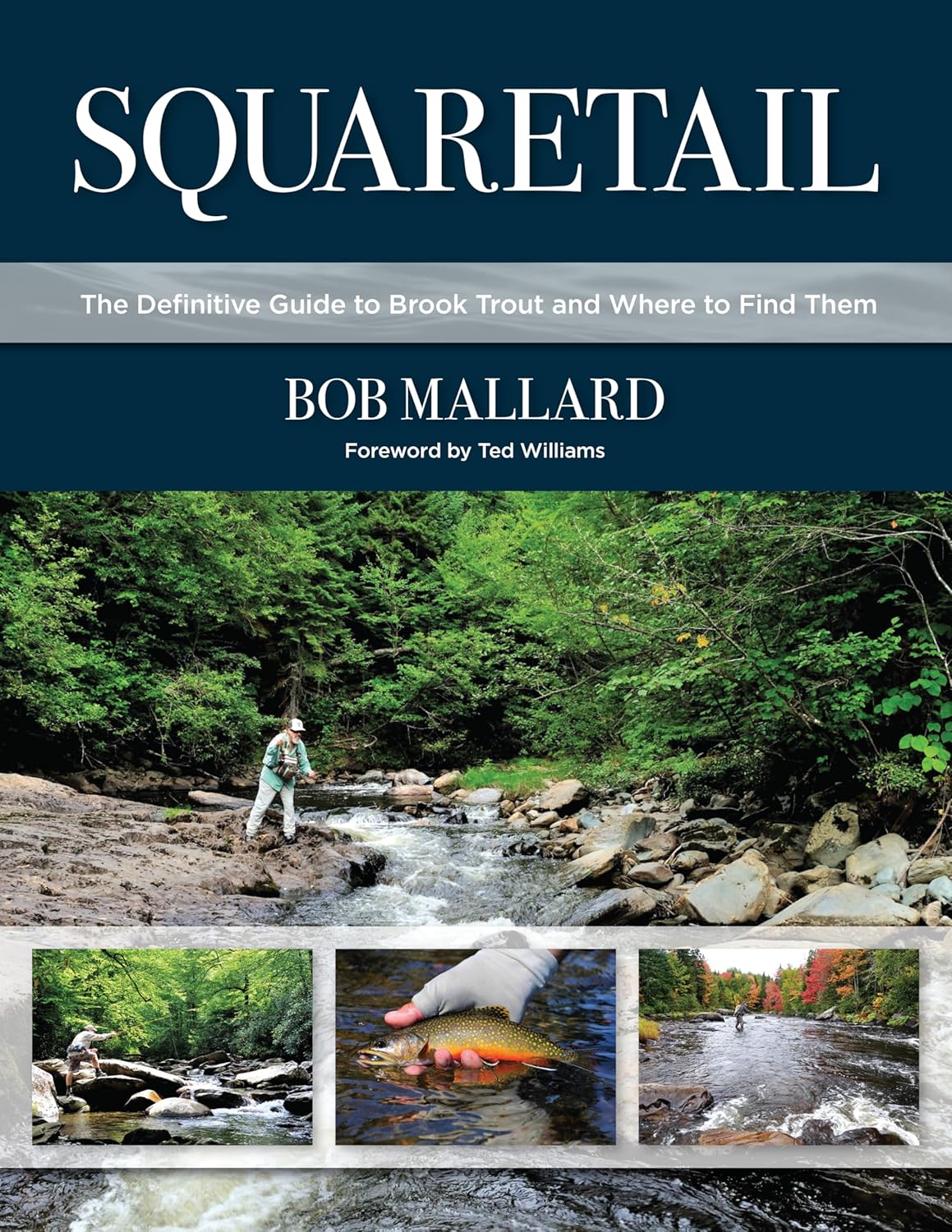 Squaretail: The Definitive Guide to Brook Trout and Where to Find Them ...