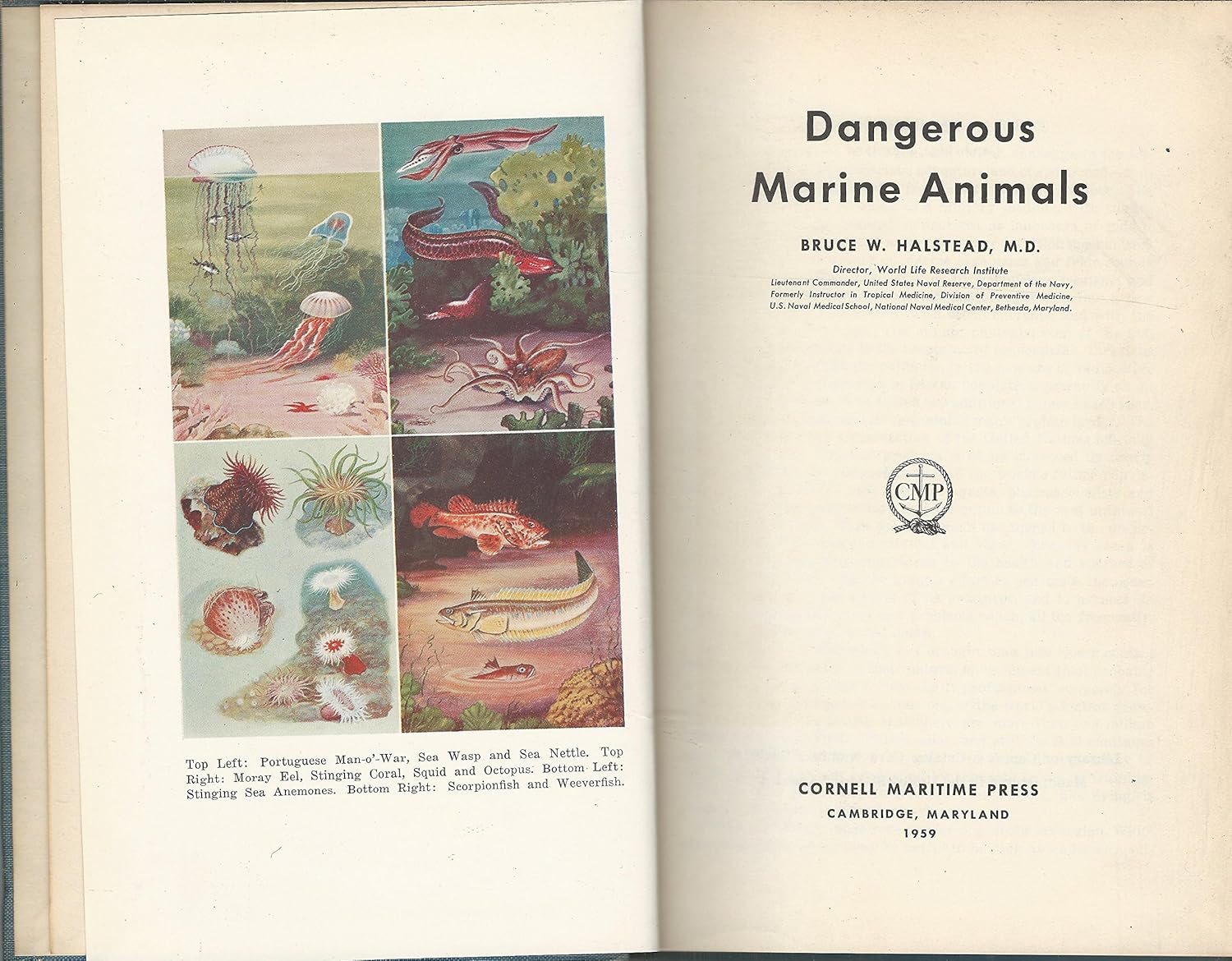Dangerous marine animals: Halstead, B.W.: Amazon.com: Books