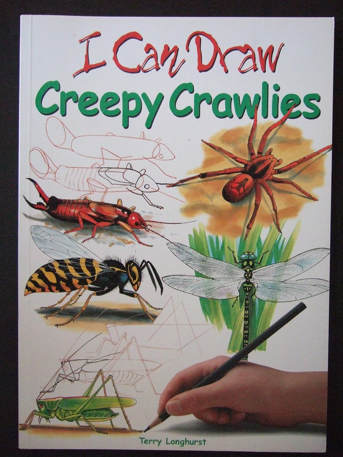 I Can Draw Creepy Crawlies: Terry Longhurst: 9780752556161: Amazon.com ...