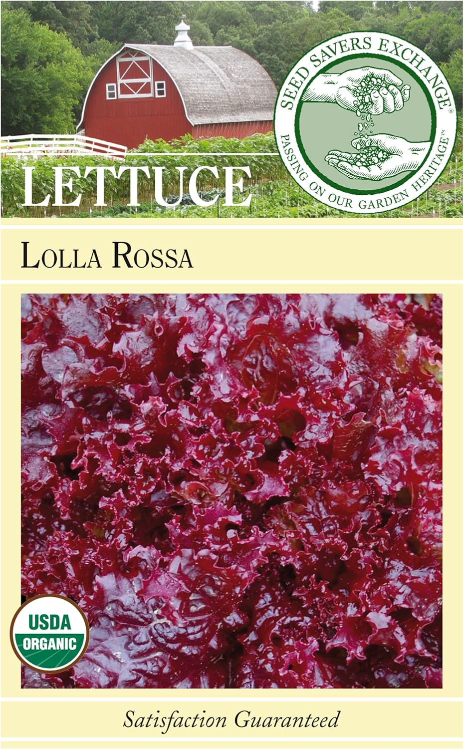 Amazon.com : Seed Savers Exchange 0219 Organic, Open-pollinated Lettuce ...