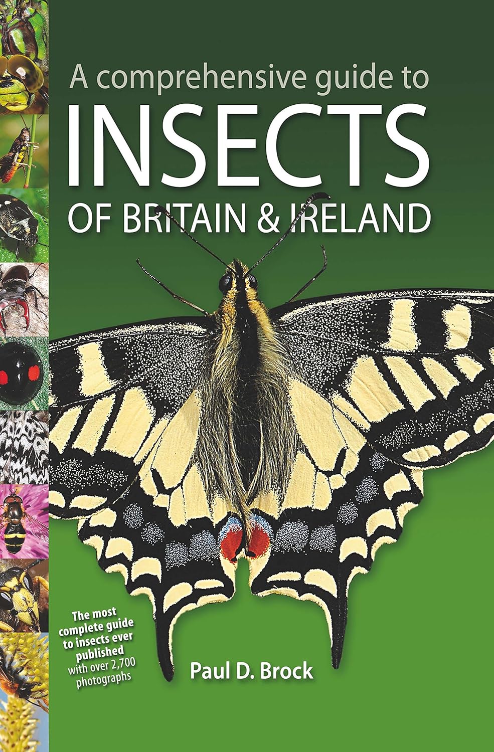 A Comprehensive Guide to Insects of Britain and Ireland: Amazon.co.uk ...