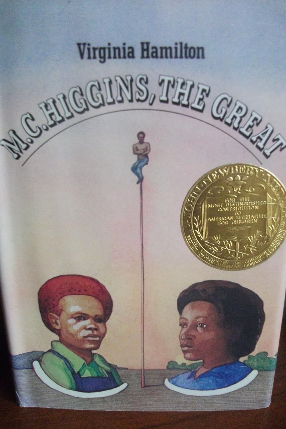 M. C. Higgins, the Great: HAMILTON, VIRGINIA: Amazon.com: Books