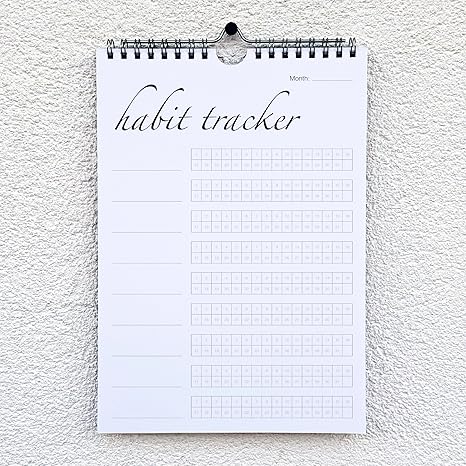 Amazon.com: Habit Tracker Calendar (Undated 12 Month) with Silver ...