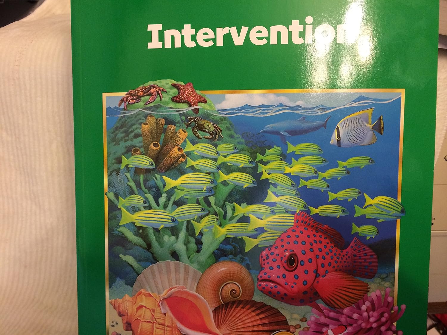 Open Court Reading: Intervention Workbook Level 2: Wright Group ...