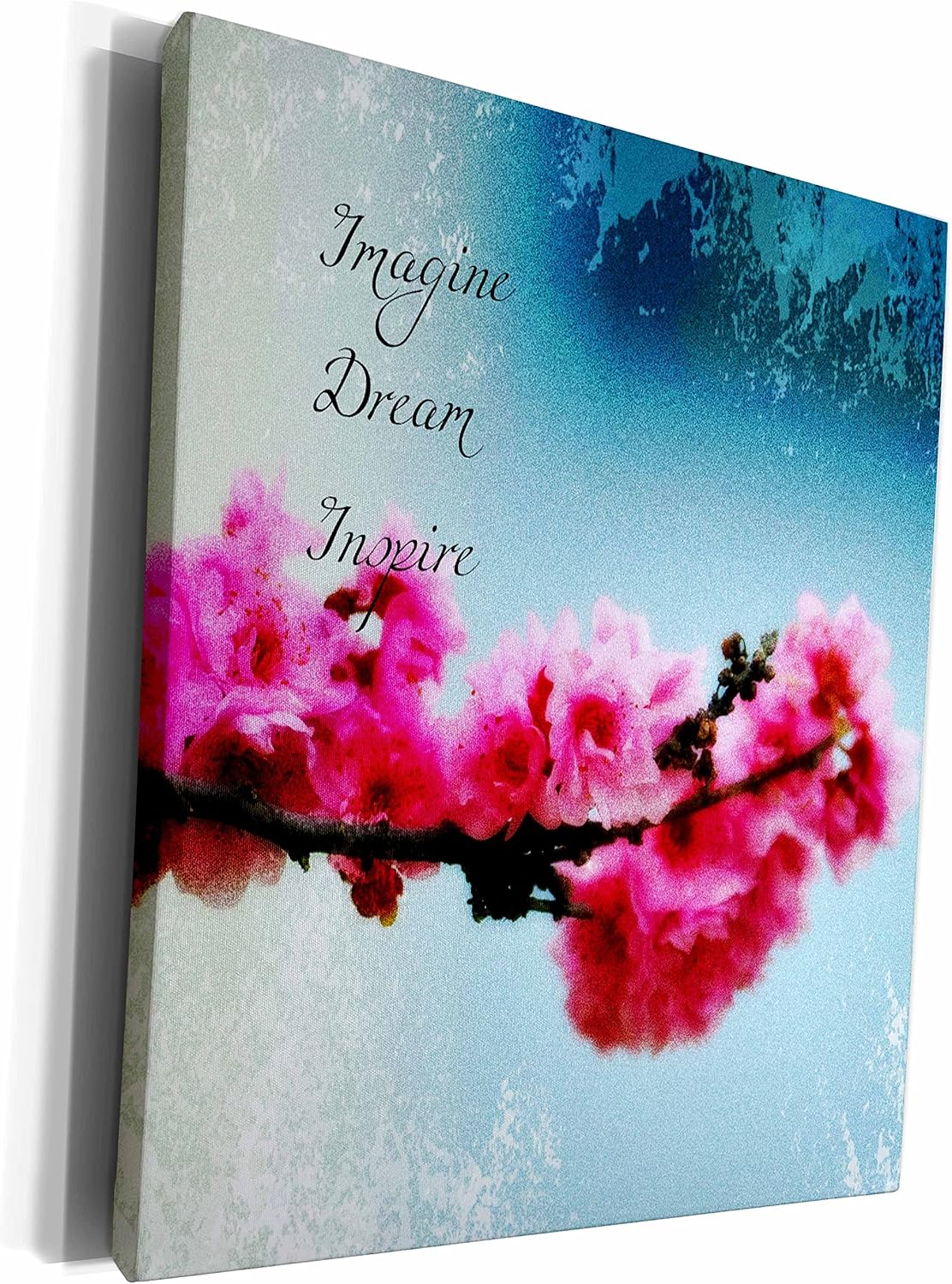 Amazon.com: 3dRose Museum Grade Canvas Wrap - Imagine, Dream, Inspire ...