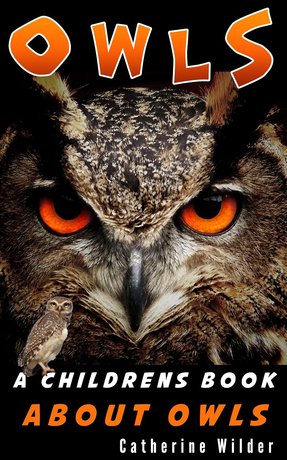 Owls! A Childrens Book About Owls, Including Fun Owl Facts, Colorful ...