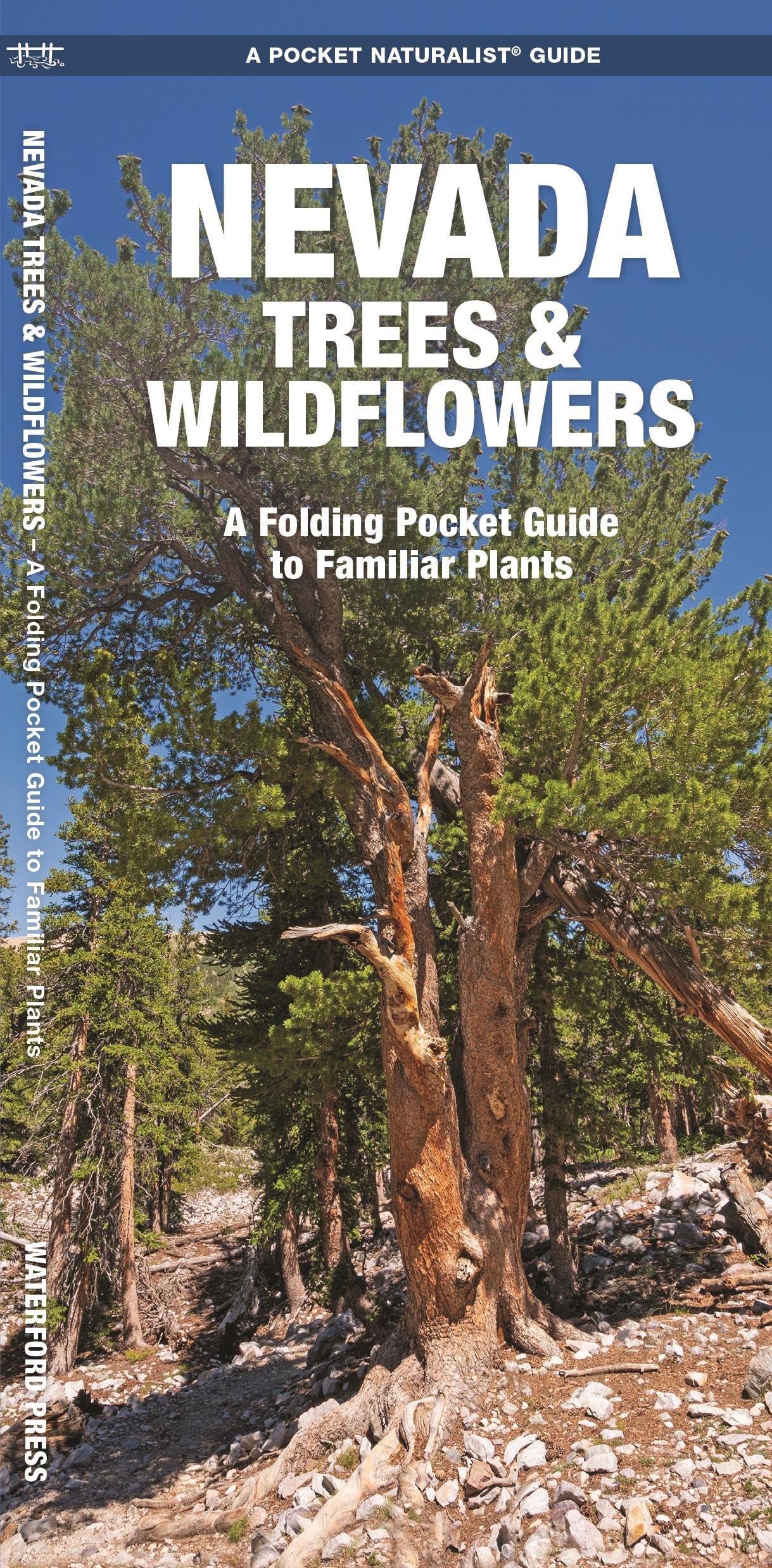 Nevada Trees & Wildflowers: A Folding Pocket Guide to Familiar Plants ...