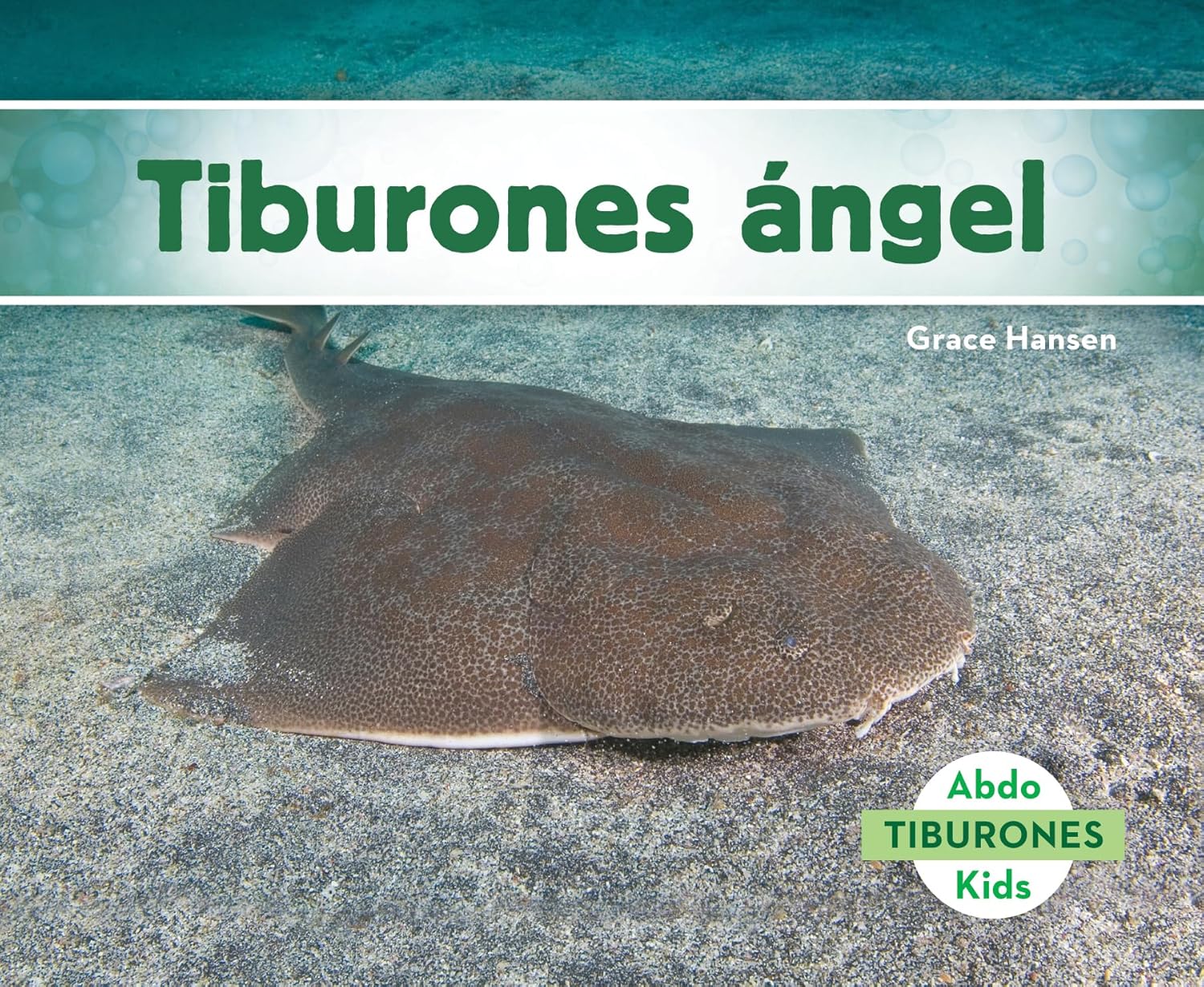 Tiburones ángel/ Angel Sharks (Tiburones/ Sharks, 2) (Spanish Edition ...