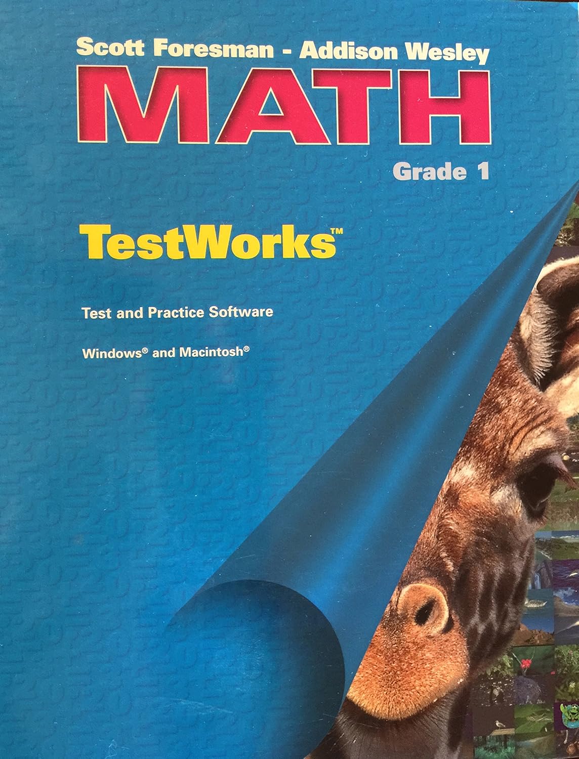 Testworks Test and Practice Software (Scott Foresman - Addison Wesley ...