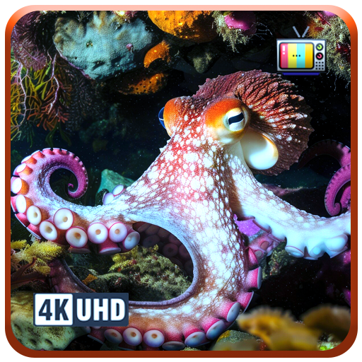 Deep Sea Dancer – Hypnotic Octopus Movements with Soothing Ocean Sounds for TV Escape ...