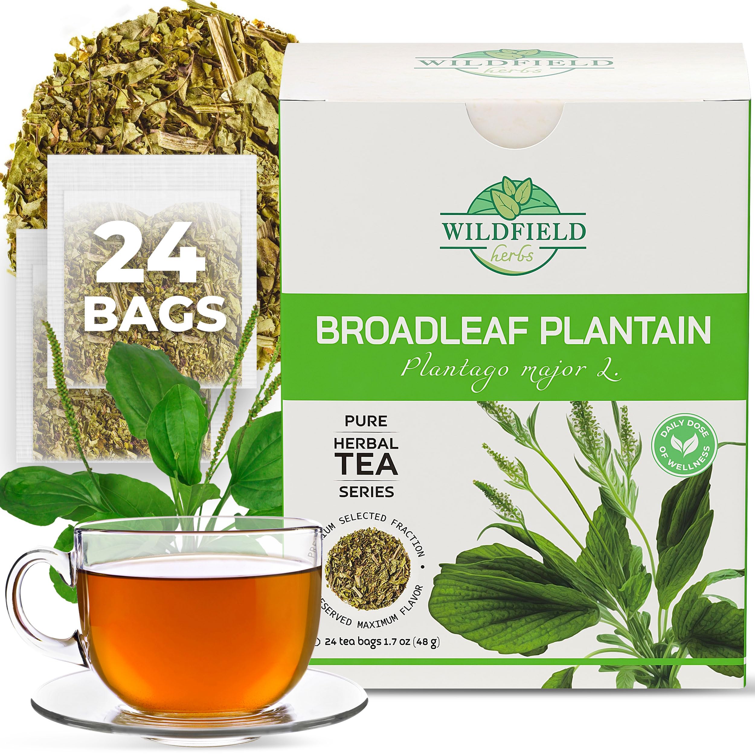 Amazon.com : 24 bags Plantain Leaf Herb Tea Dried Plaintains (Plantago ...