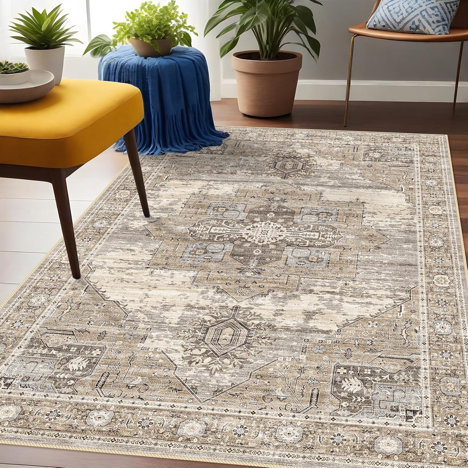 Amazon.com: Living Room 3x5 Area Rugs - Washable Lightweight Area Rug ...