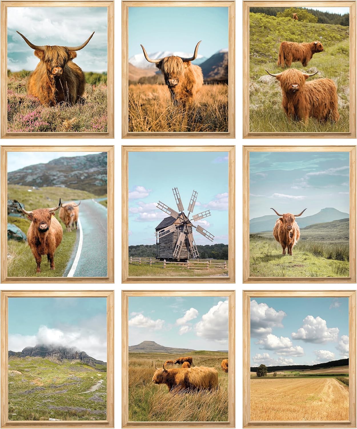 Amazon.com: 97 DECOR Highland Cow Wall Art - Highland Cow Pictures Wall ...