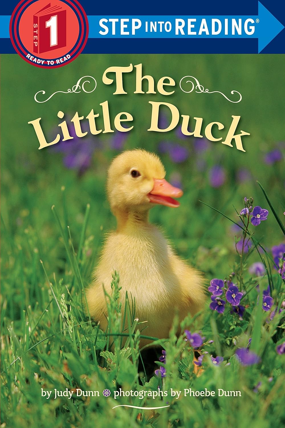 The Little Duck (Step into Reading) : Dunn, Judy: Amazon.in: Books