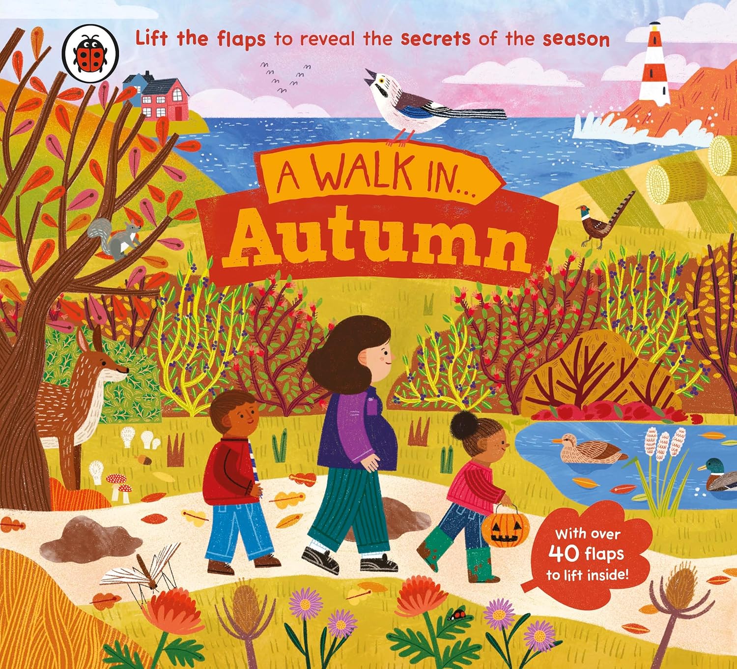 A Walk in Autumn: Lift the flaps to reveal the secrets of the season ...