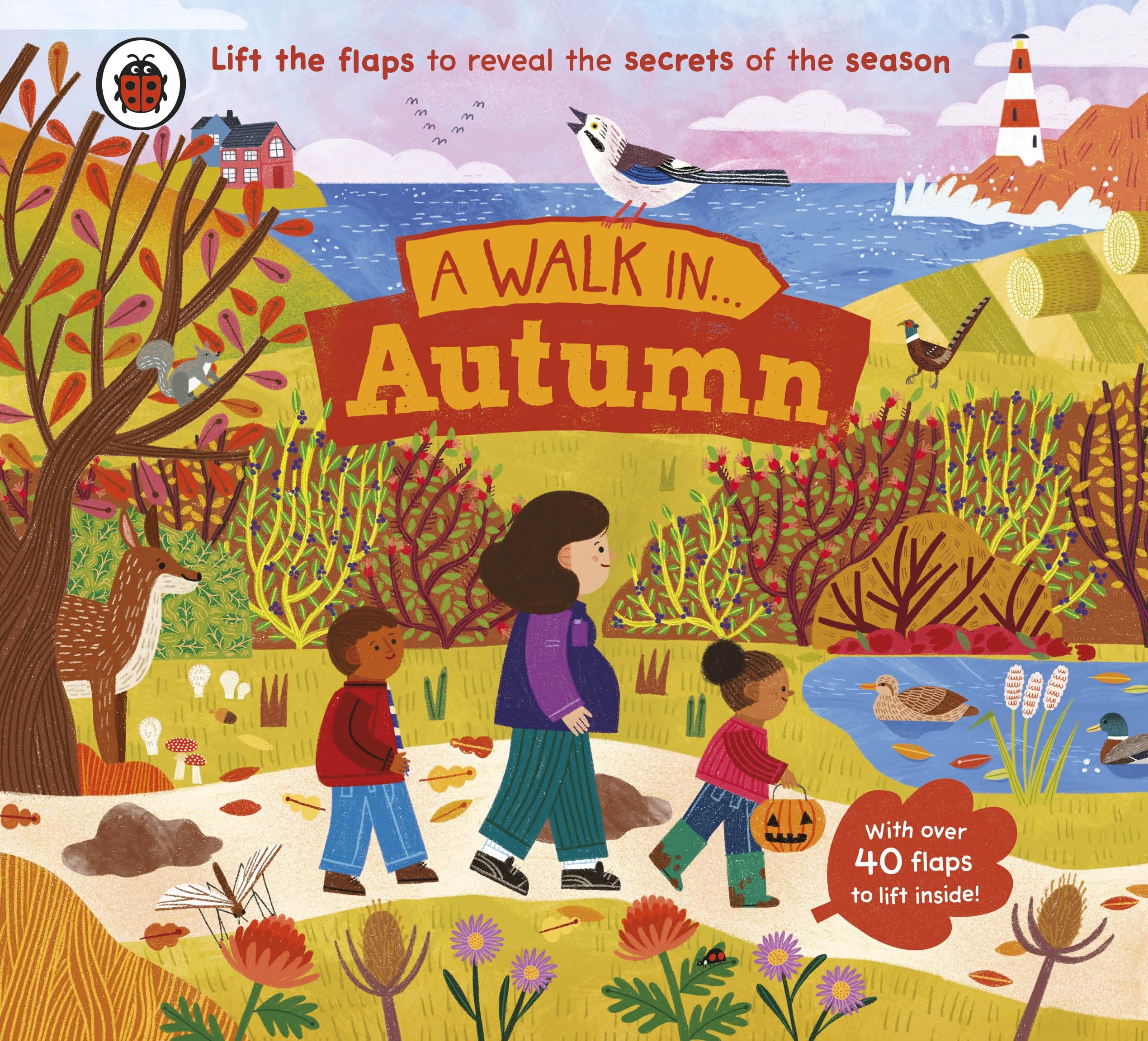 Amazon.com: A Walk in Autumn: Lift the flaps to reveal the secrets of ...