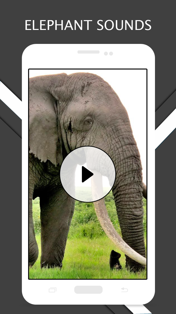 Elephant Sounds - App on Amazon Appstore