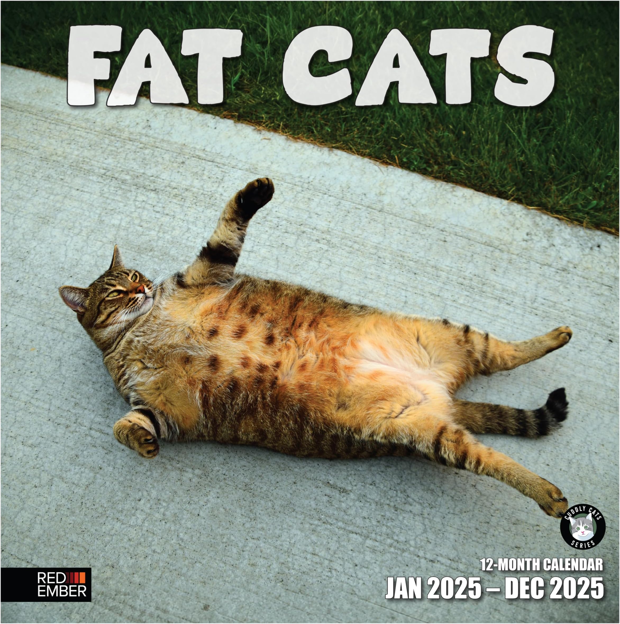 Amazon.com: RED EMBER Baby Goats 2025 Wall Calendar 12 Month | 12" x 24 ...