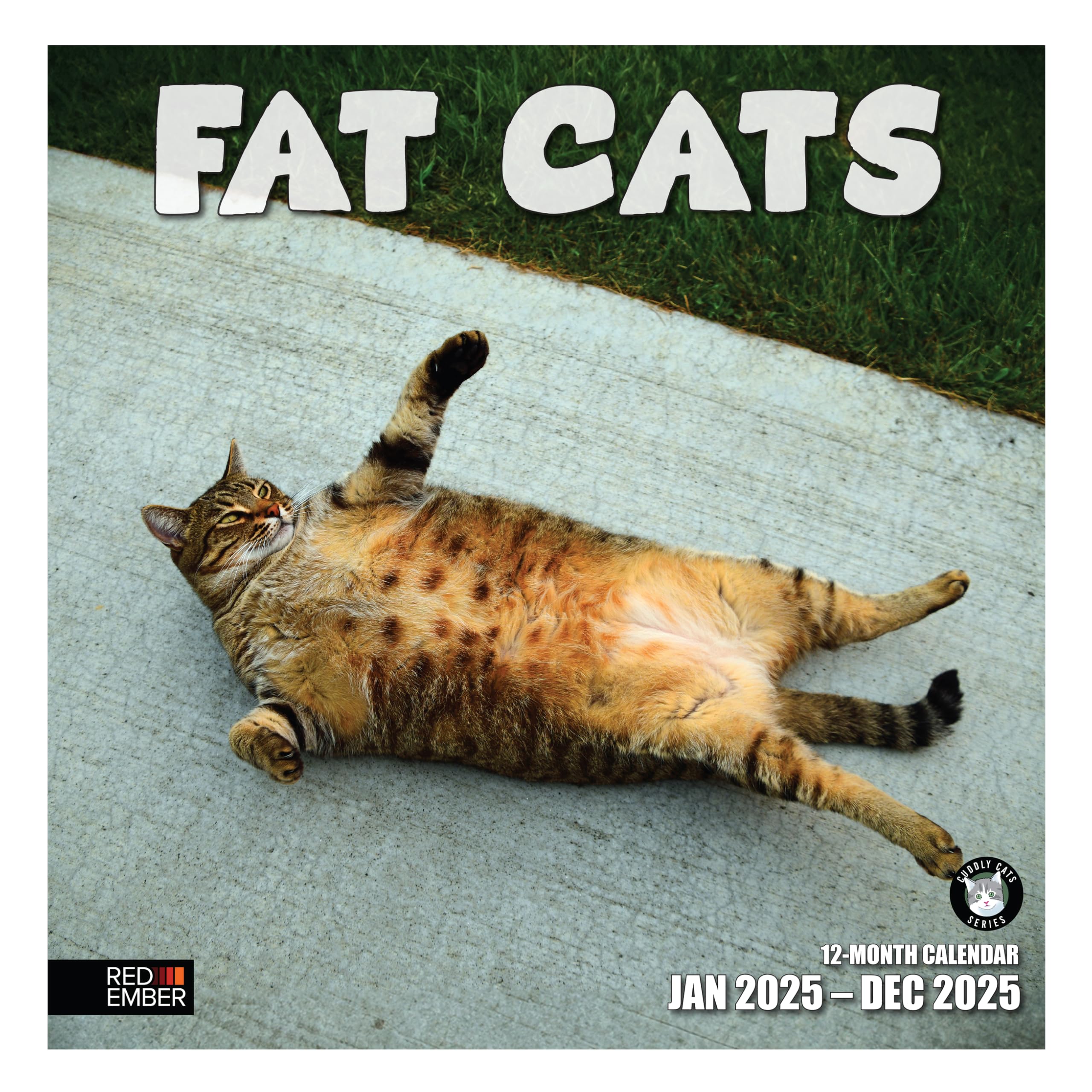 Buy RED EMBER Cats 2025 Wall 12 Month | 12" x 24" Open | Thick & Sturdy ...