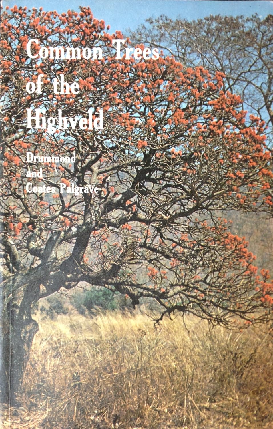 Common trees of the highveld: Drummond, R. B: 9780582641068: Amazon.com ...
