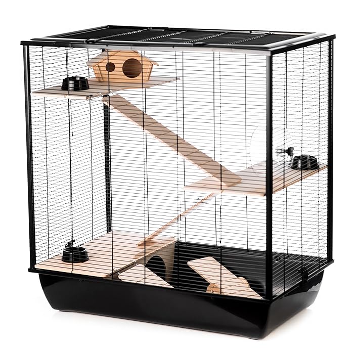 Buy Little Friends Plaza Tall Rat and Hamster Cage with Three Floors ...