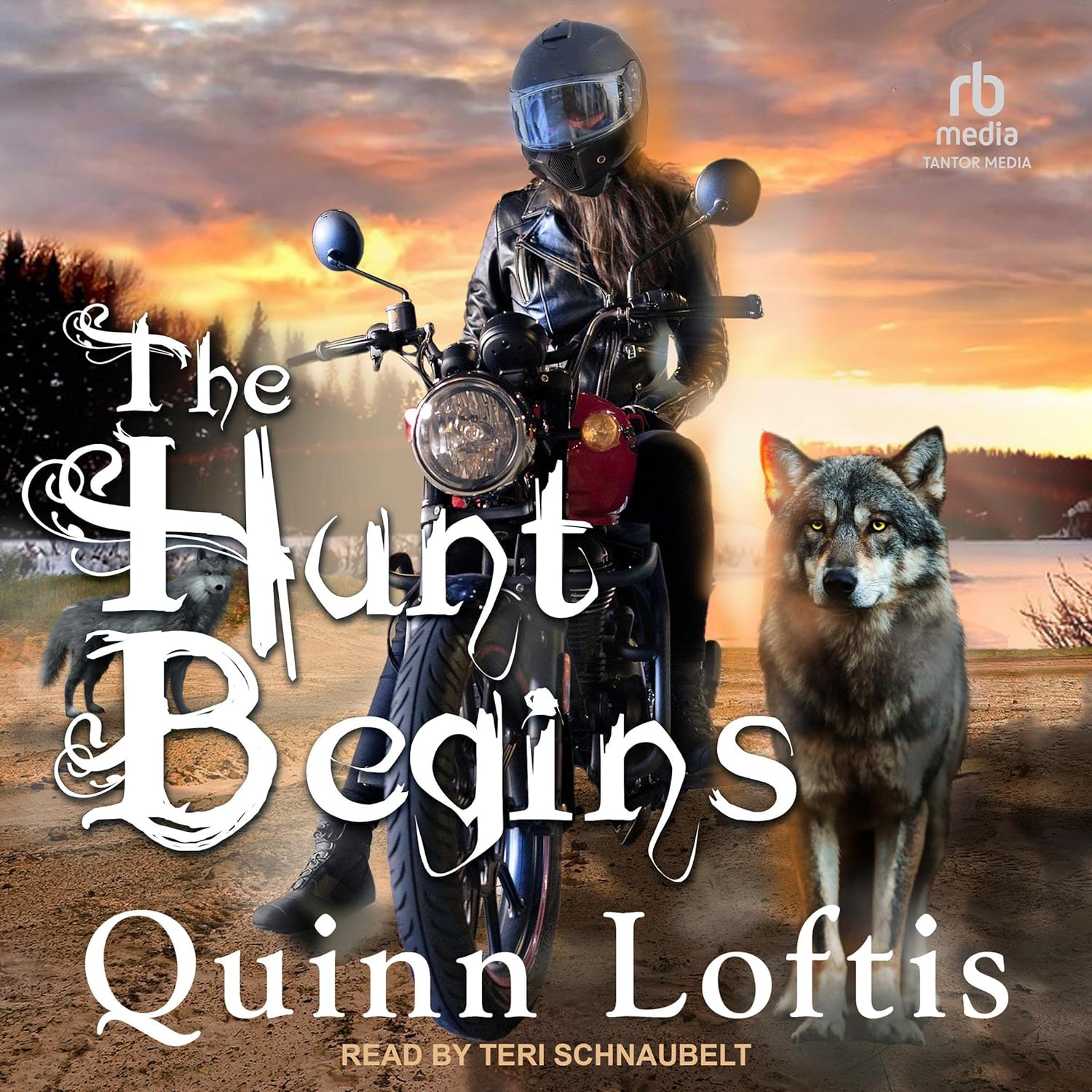 Amazon.com: The Hunt Begins: Grey Wolves, Book 16 (Audible Audio ...