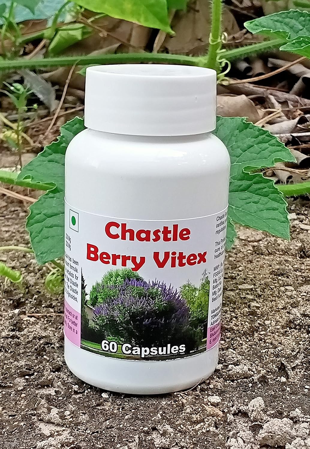 Buy CHASTE BERRY VITEX CAPSULES - 60 CAPSULES {GET 1 BOTTLE CHASTE ...