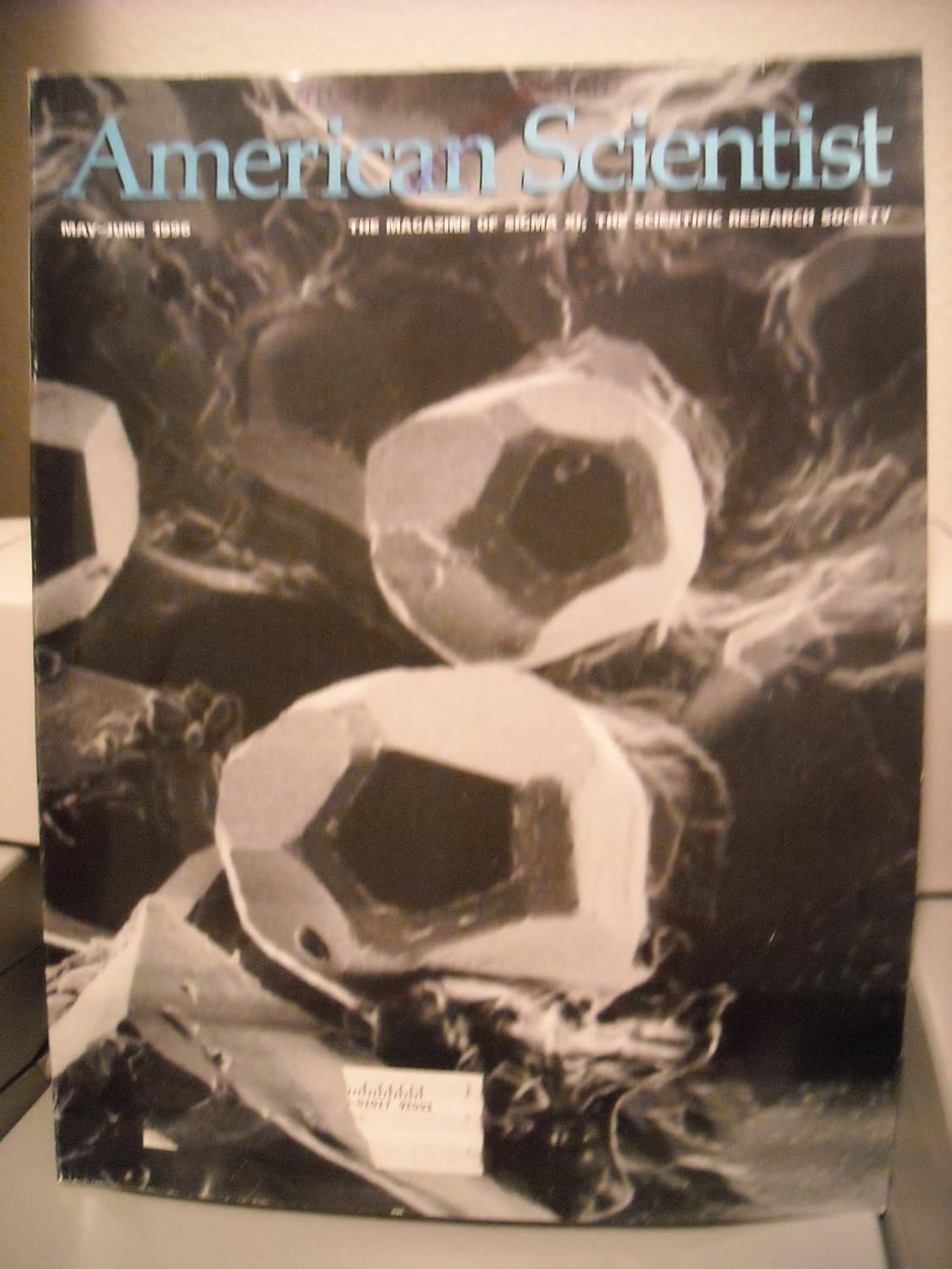 American Scientist - May-Junw 1996 (Vol 84 No 3): Rosalind Reid: Amazon ...