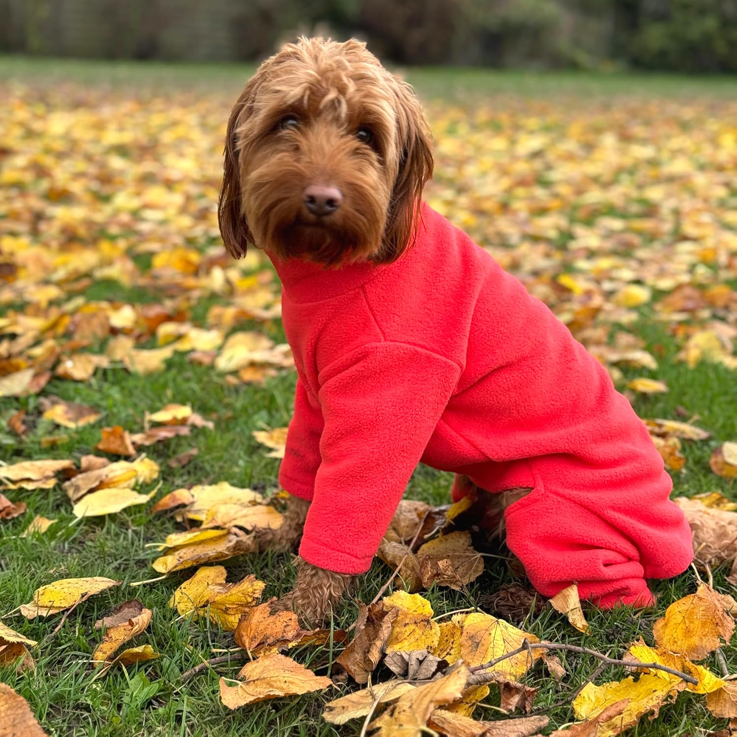 Warm Four-Legged Dog Fleece – Super Soft, Weather-Resistant (Coral, X ...