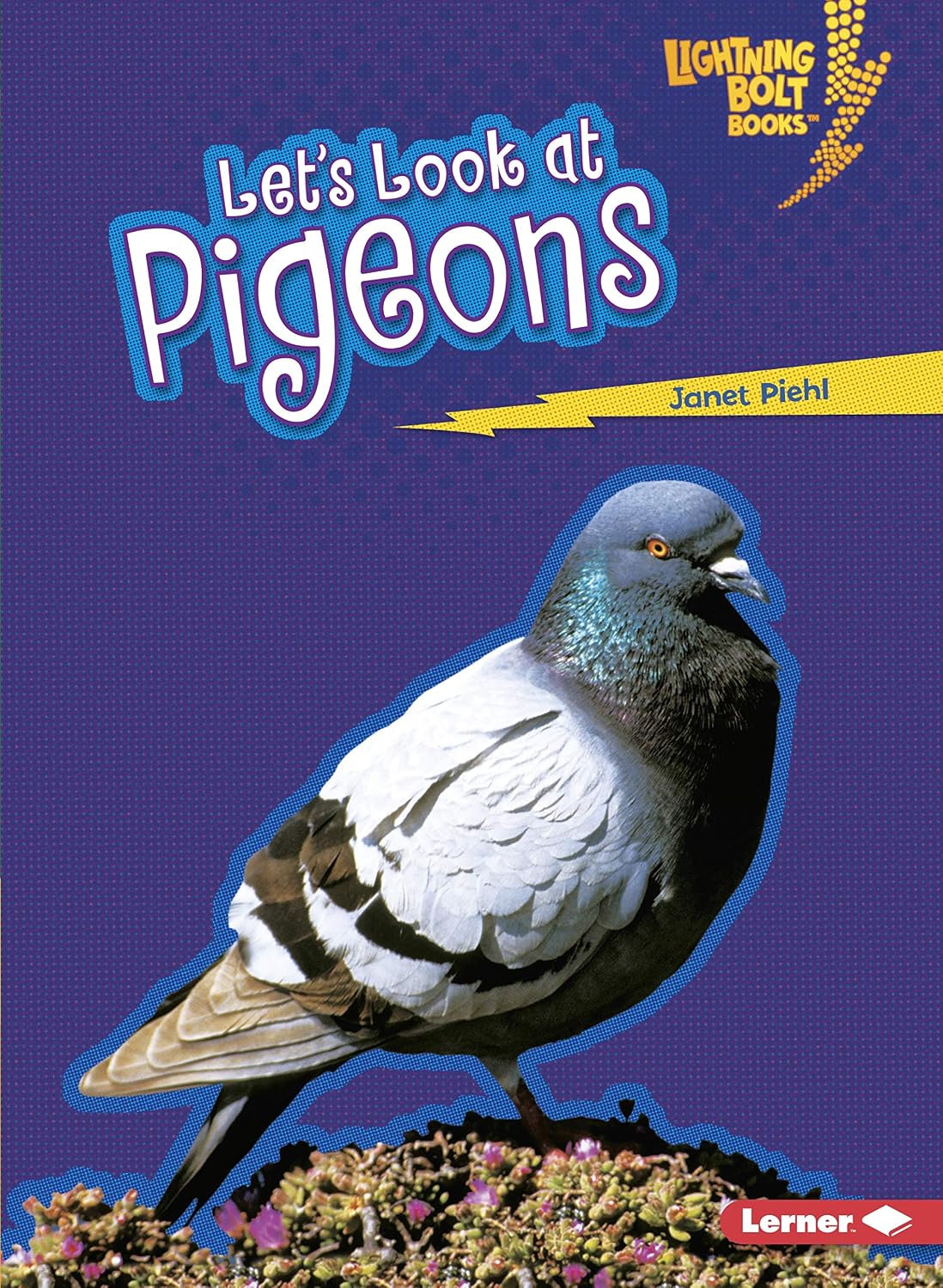 Let's Look at Pigeons (Lightning Bolt Books ® ― Animal Close-Ups ...