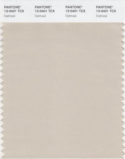 PANTONE Smart 13-0401X Color Swatch Card, Oatmeal - House Paint ...