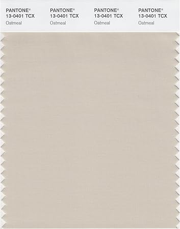 PANTONE Smart 13-0401X Color Swatch Card, Oatmeal - House Paint ...
