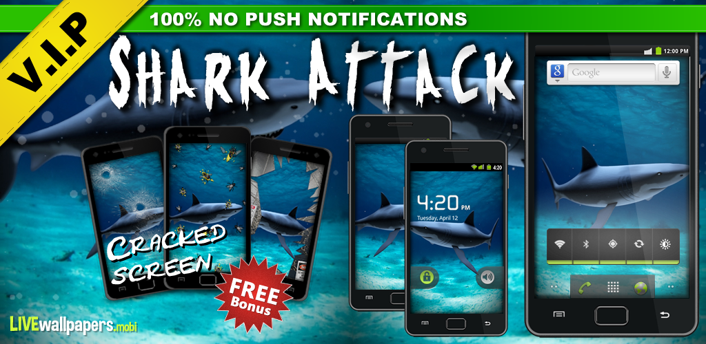 Cool Shark Wallpaper Broken Screen Are You Excited About Jeff The Land
