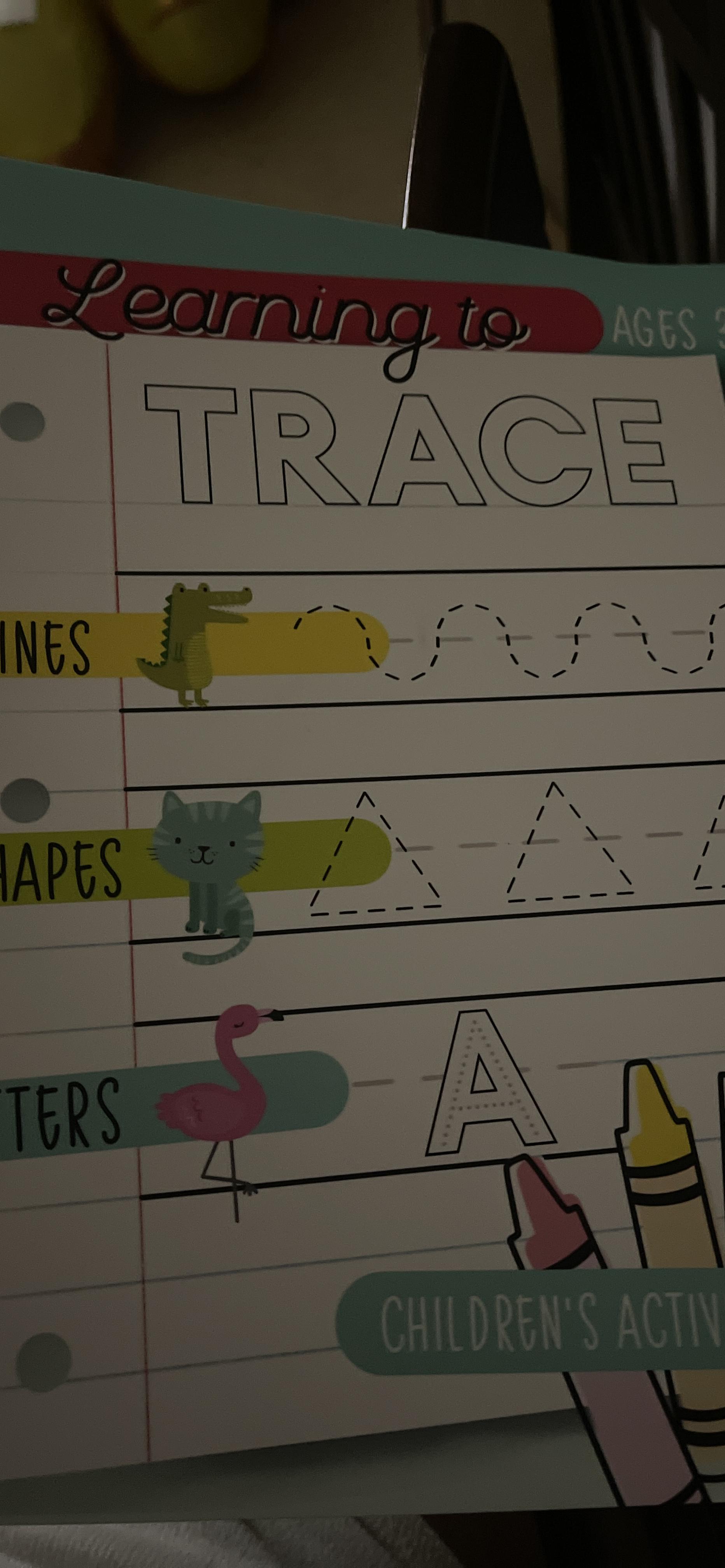 Learning to Trace: Children's Activity Book: Lines Shapes Letters Ages ...