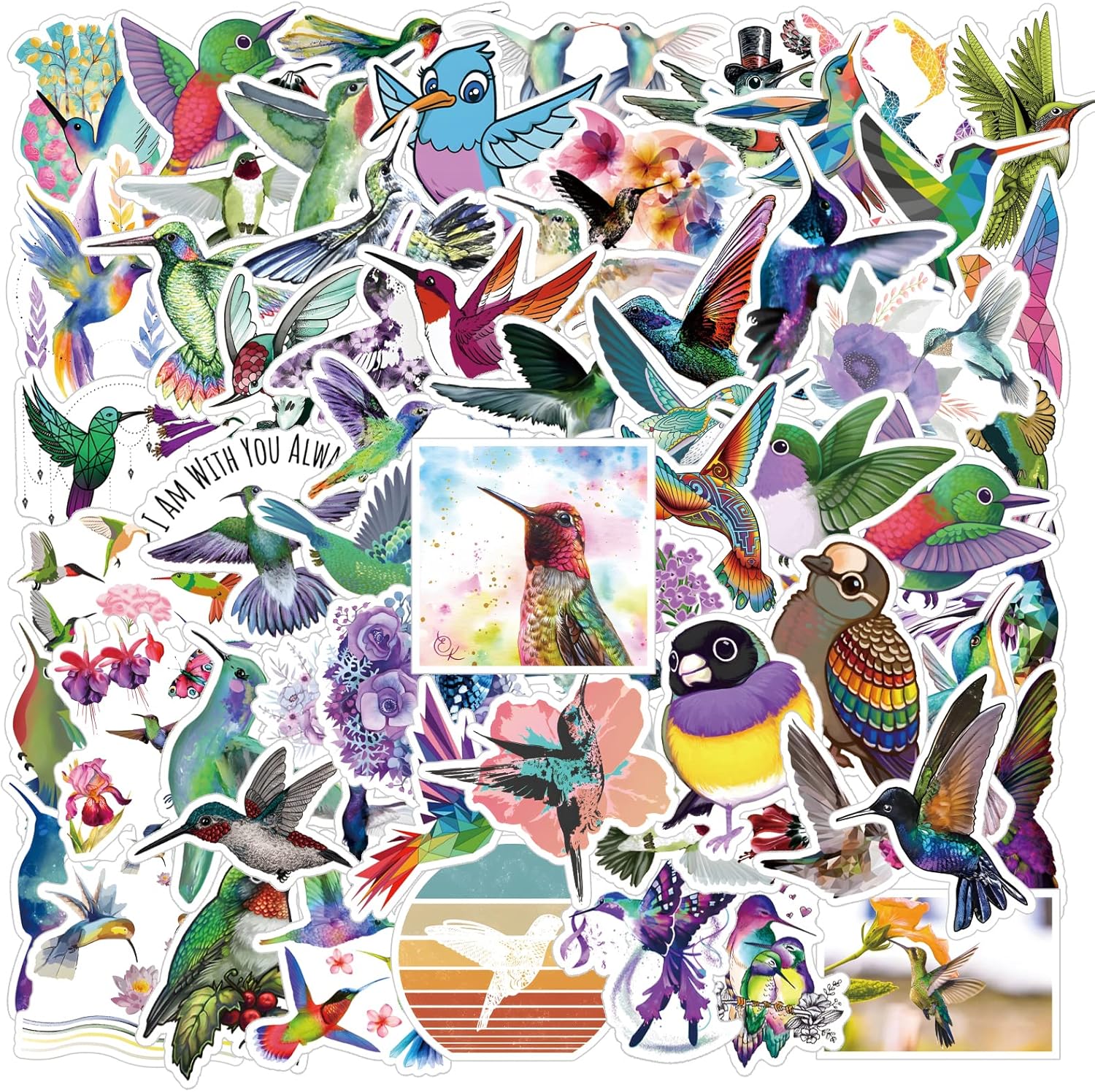 Amazon.com: 52Pcs Colorful Hummingbird Aesthetics Stickers Pack, Cute ...