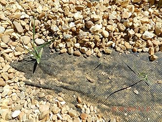 Nutley's 10 x 2 m Weedban 50 Weed Control Fabric - Black : Amazon.co.uk ...