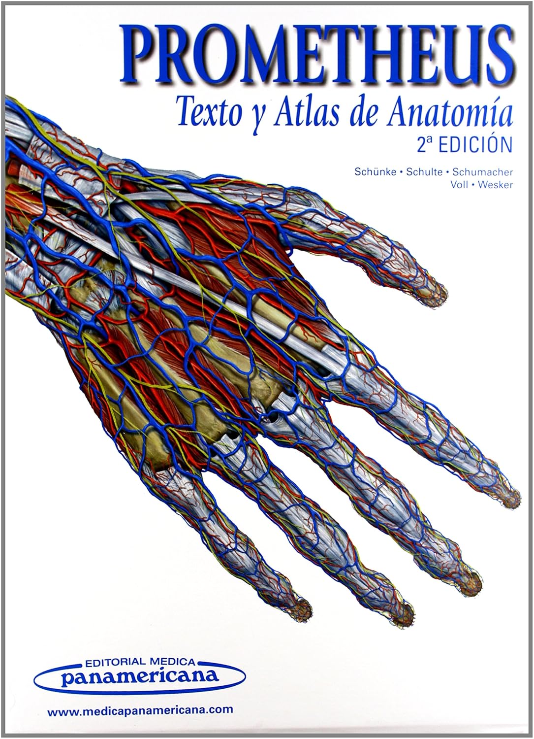 Prometheus : atlas de anatomía e inglés médico : PAC-Prometheus-Ribes ...