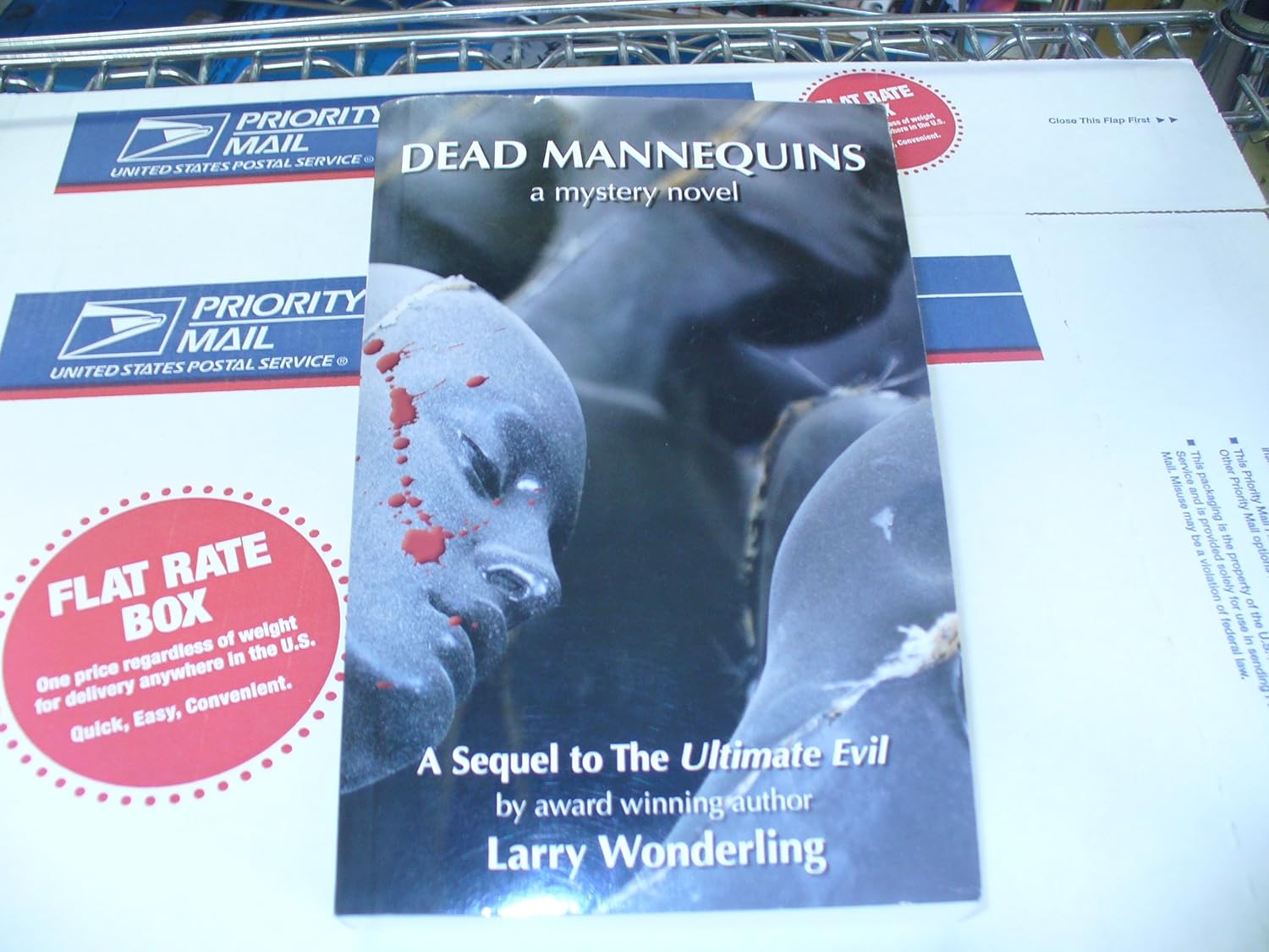 Dead Mannequins: Larry Wonderling, Carol Eversole: 9780965941532 ...