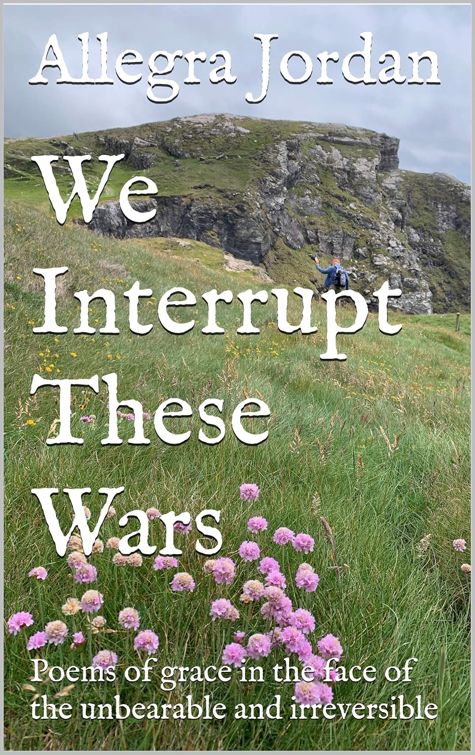 Amazon.com: We Interrupt These Wars: Poems of grace in the face of the ...