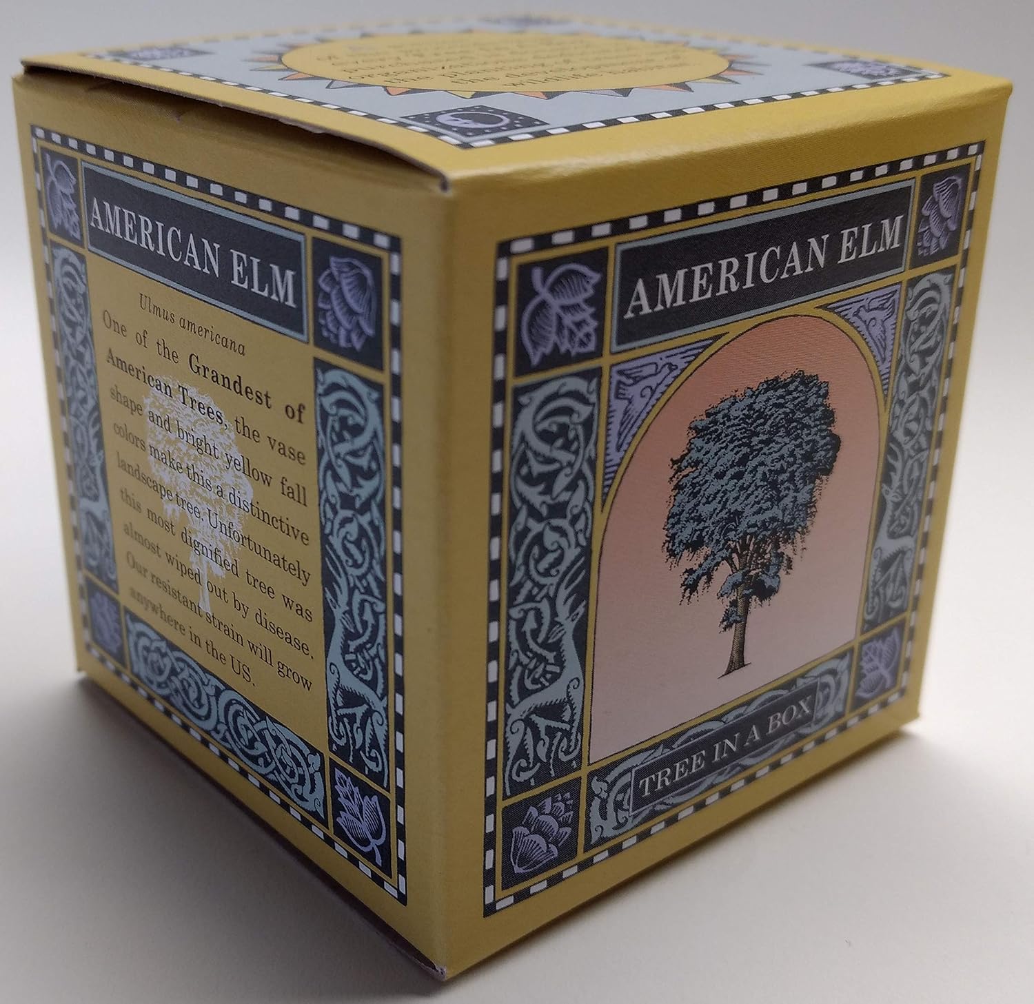 Amazon.com : Tree In A Box - American Elm : Patio, Lawn & Garden