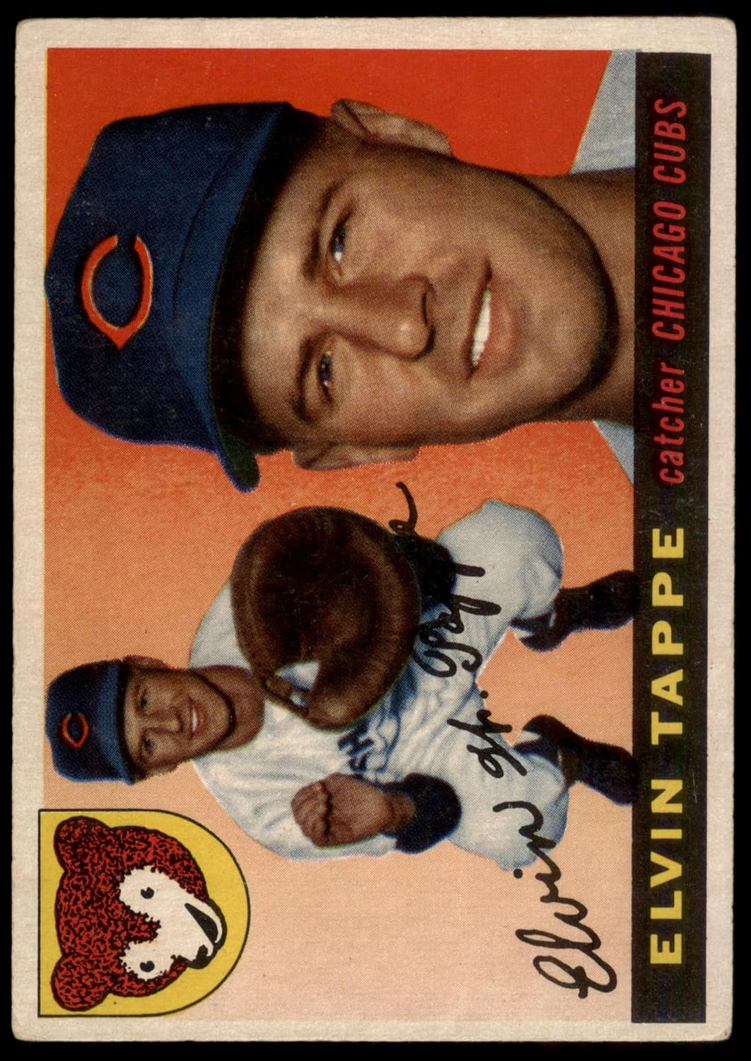 Amazon.com: 1955 Topps Baseball 129 Elvin Tappe Very Good (3 out of 10 ...