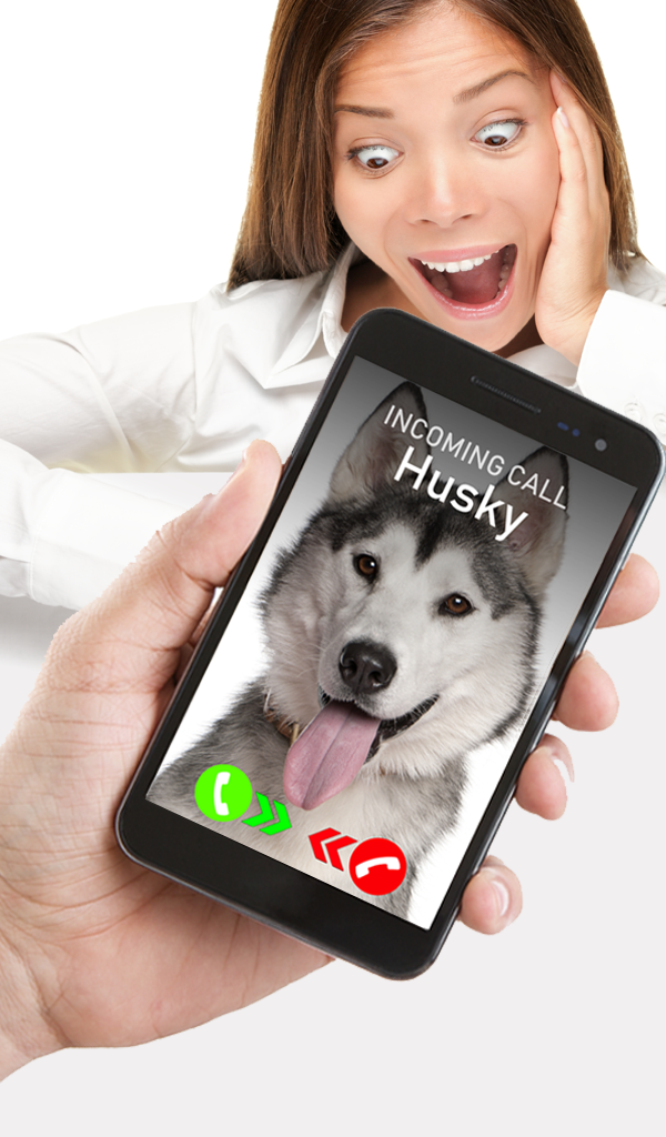 Fake Call From Siberian Husky Prank - App on Amazon Appstore
