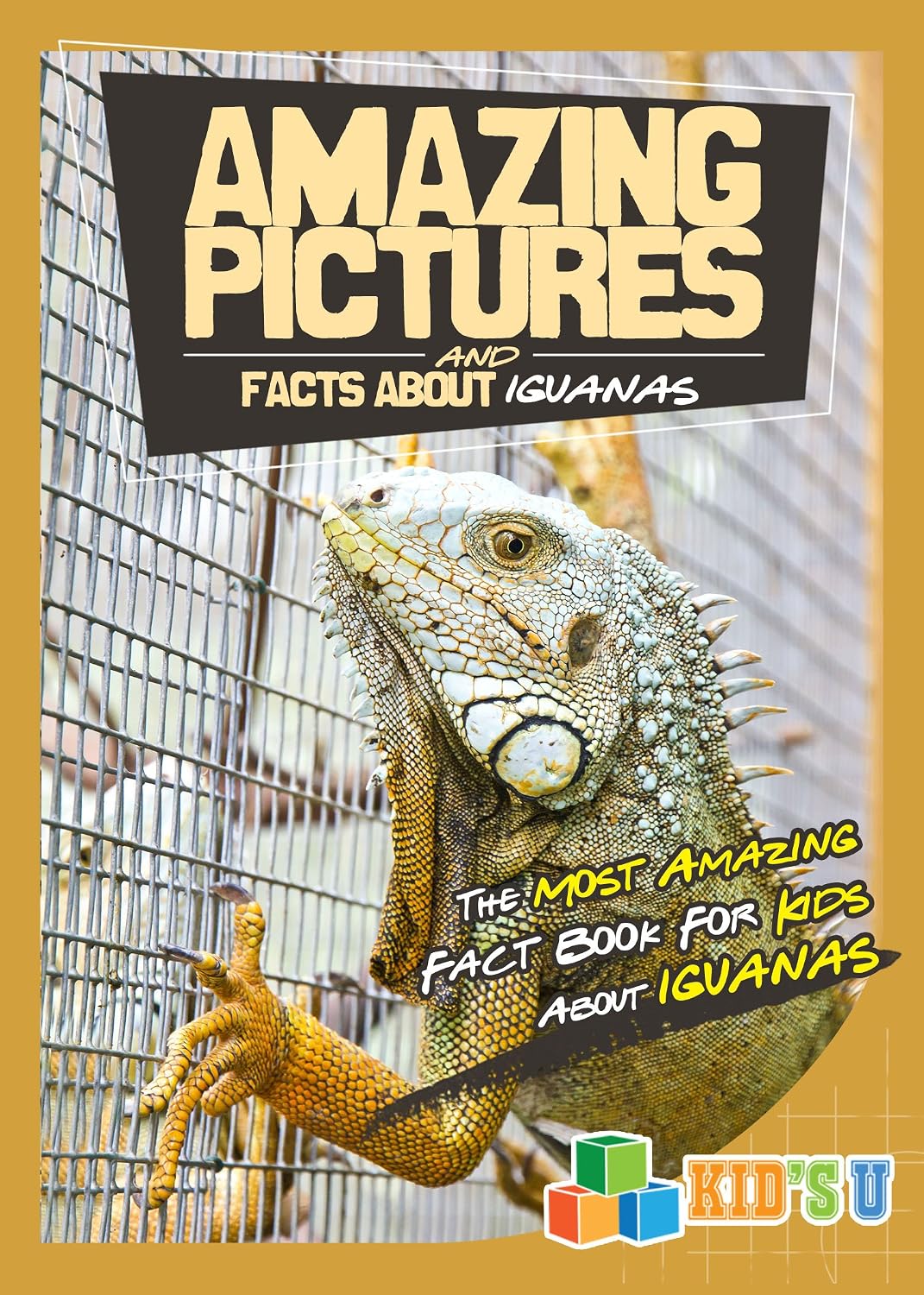 Amazing Pictures and Facts About Iguanas : The Most Amazing Fact Book ...
