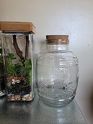 Amazon.com: Size #48 Large Tapered Cork Plugs for Jars and Bottles (3. ...