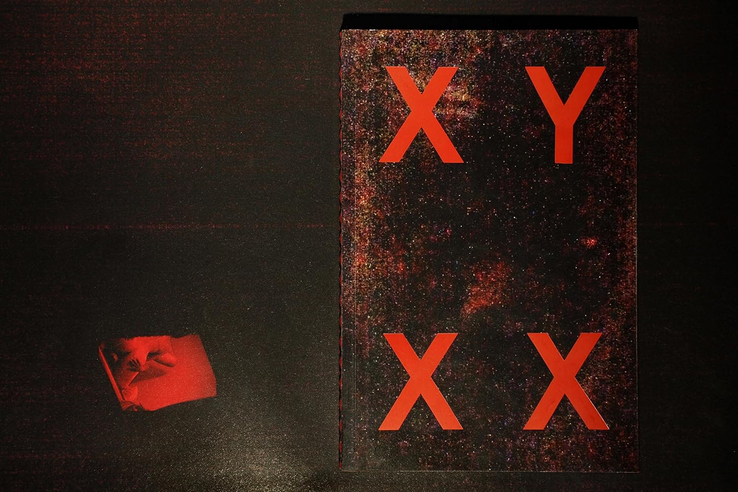 XY XX: VEGUE, Fosi & Eloi GIMENO: 9788461703166: Amazon.com: Books