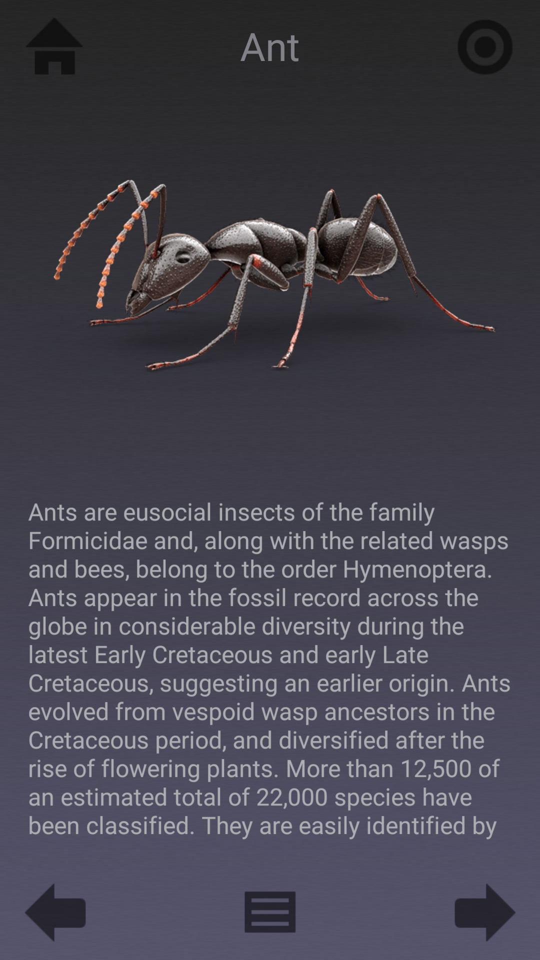 Animalia - App on Amazon Appstore