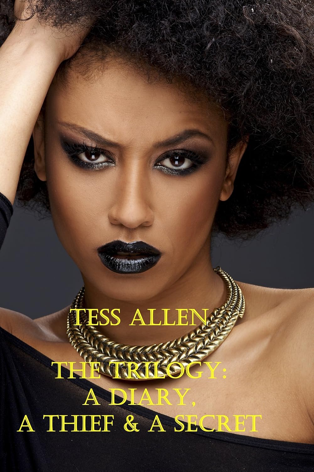 The Trilogy: A Diary, A Thief & A Secret - Kindle edition by Allen ...