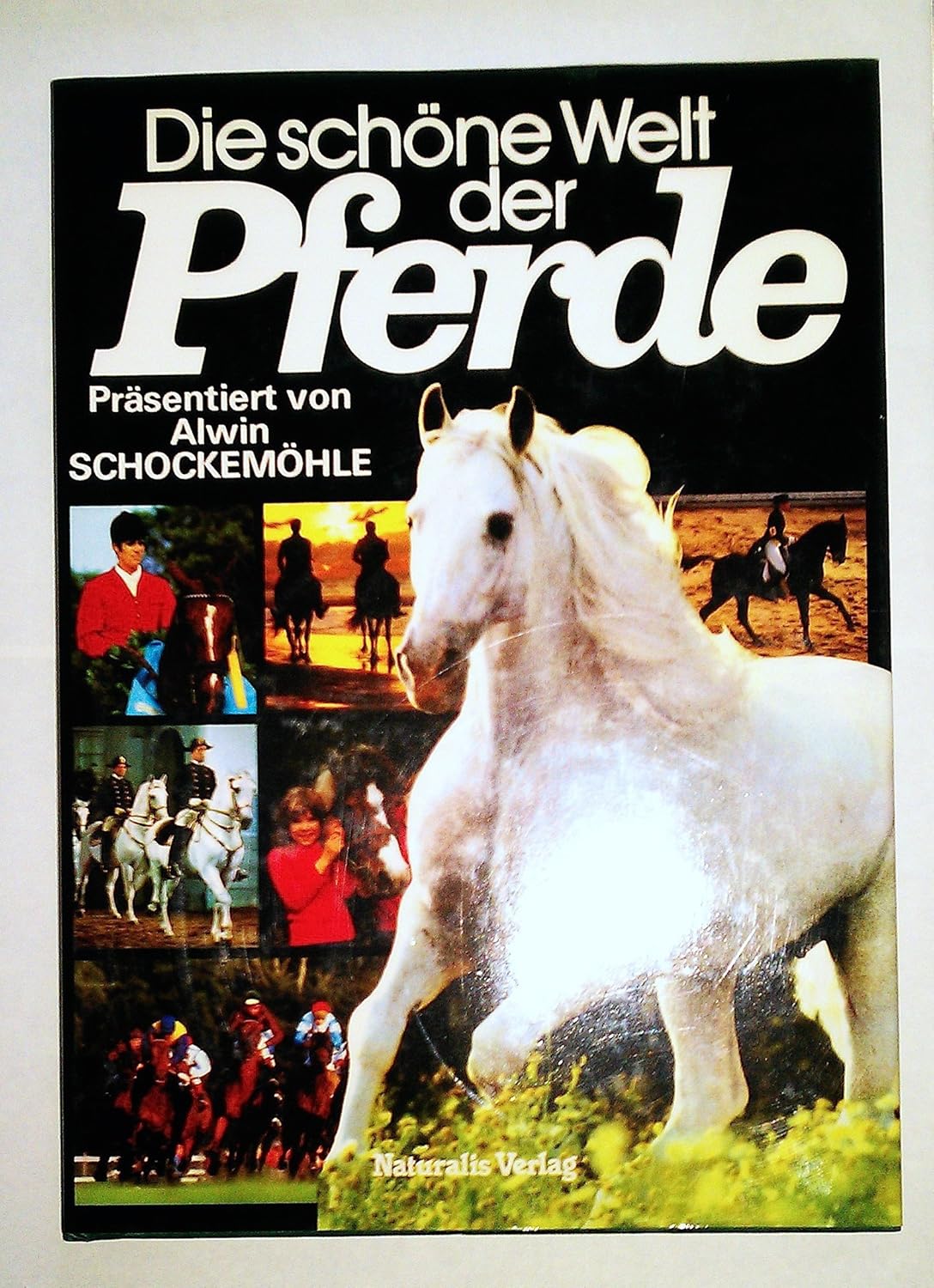 Schockemöhle die schöne welt der Pferde, Großband, Naturalisverlag, 384 ...